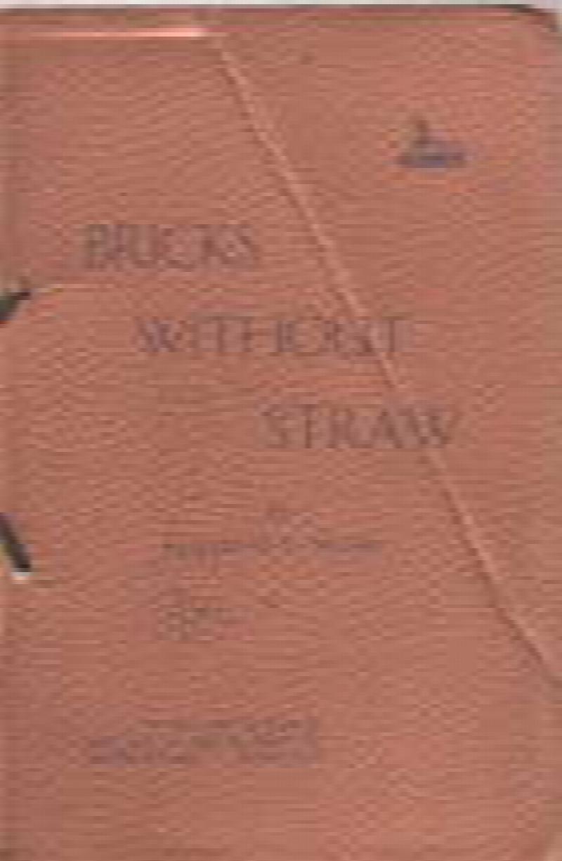 Bricks Without Straw